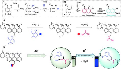 A Diels Alder Reaction I E The [4 2] Cycloaddition Using O Mbas