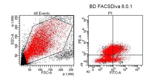How To Analyze Flow Cytometry Data Researchgate