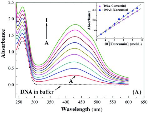 Uv Absorption Spectrum Of Dna Download Scientific Diagram