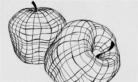 cross contour drawing drawing basics pinterest contour line