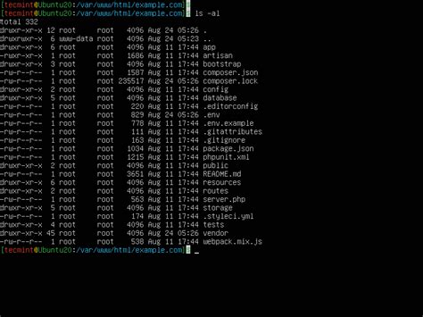 how to install laravel php framework with nginx on ubuntu 20 04