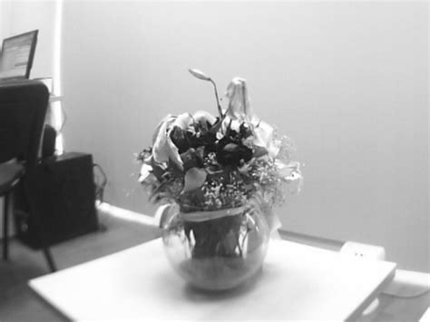 github egeoguzman image denoising image denoising by