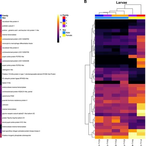 Expression Heatmaps Of Differentially Expressed Genes For Sex Specific