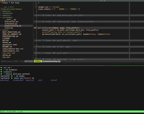 enhancing data science environments with vim tmux and zsh on amazon