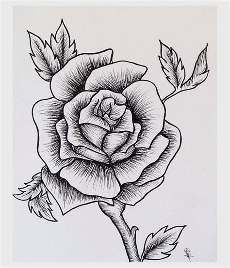 Rose Sketch Easy Cool Rose Drawings Beautiful Rose Drawing Rose
