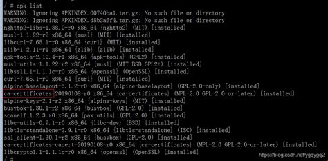 alpine linux添加let s encrypt ca证书或者自签ca证书 alpine 查看当前系统信任的ca csdn博客