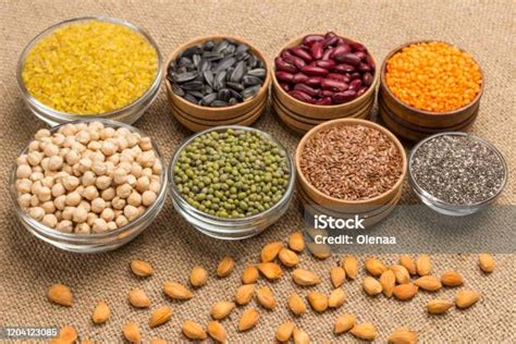 Kacangkacangan Bijibijian Menir Sumber Benih Lemak Nabati Protein Dan