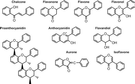 Frontiers Flavonoids Biosynthesis Biological Functions And