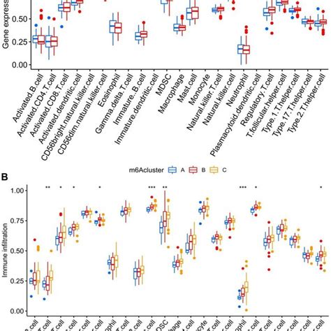 Analysis Of Immune Cell Infiltration Between Different Groups A