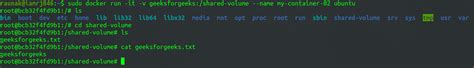 mounting a volume inside docker container geeksforgeeks