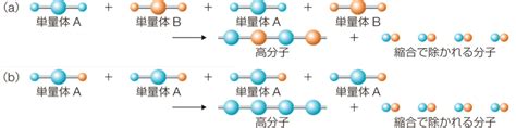 合成高分子化合物