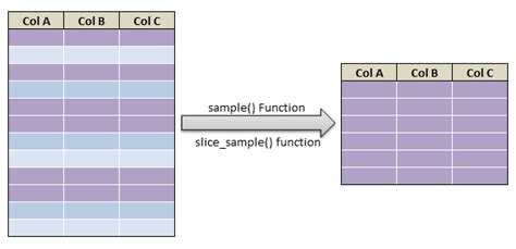 generate sample with sample function in r datascience made simple