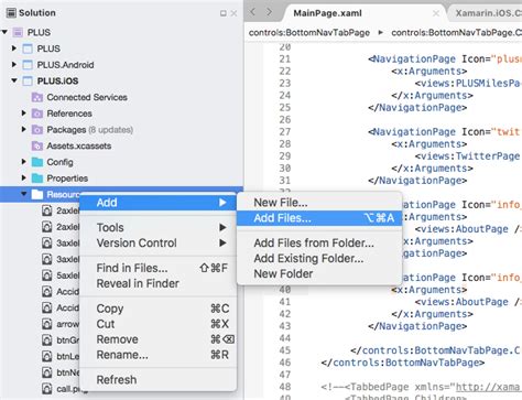 xaml how the proper way to insert image in resources in xamarin