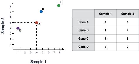 single cell rna seq theory of normalization and pca introduction to