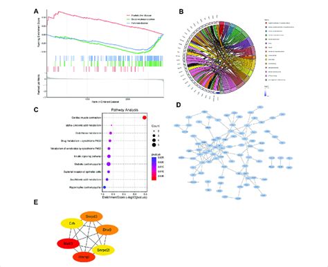 Bioinformatics Analysis Of Differentially Expressed Proteins A Gene