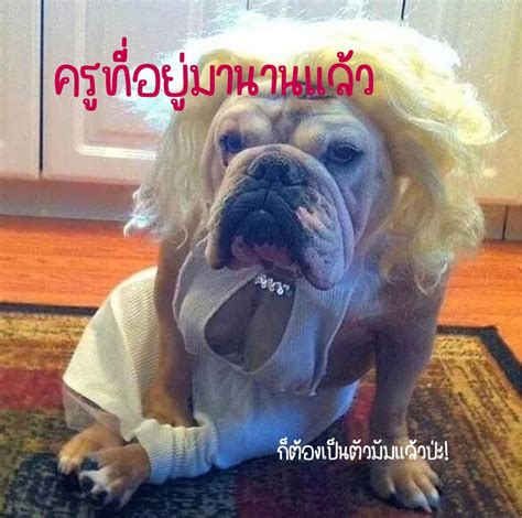 เลือกไม่ถูกเลย😂😂 คลังสื่อการเรียนรู้ พีซีเอช ดีไซน์
