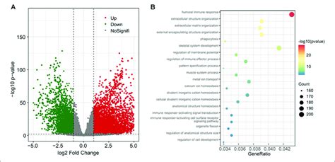 The Differential Gene Expression Analysis Results And Enriched