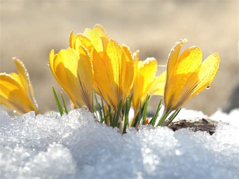 here s why spring is the best season