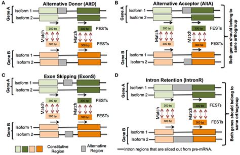 conserved alternative splicing events identification pipeline i