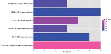 oncotarget analysis of bos taurus and sus scrofa x and y