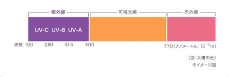 美肌講座記事詳細 Iniks（イニクス）通販サイト
