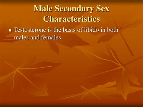 ppt brain testicular axis powerpoint presentation id