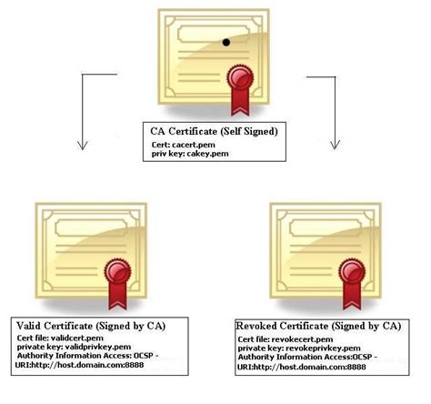x 509 certificate revocation checking using ocsp protocol with oracle