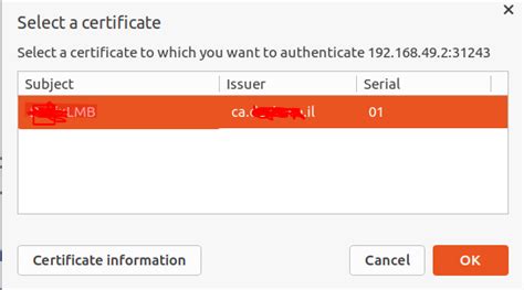ssl using self signed certificates in nginx ingress