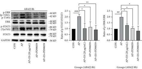 Roles Of The Erk Stat3 Signaling Pathway In Stc Induced Acute