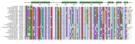 figure s4 multiple sequence alignment of hsp100 proteins sequence