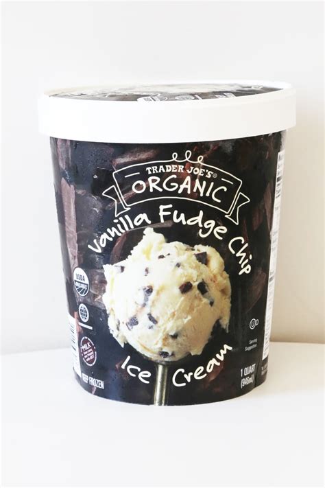 Organic Vanilla Fudge Chip Ice Cream 3 The Best Frozen Desserts At