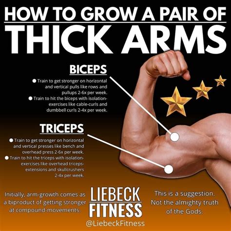 Grow Your Bicep Size And Strength With These 9 Highest Rated Exercises