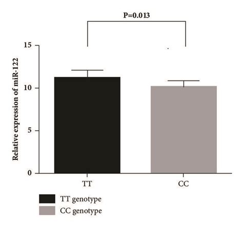 The Relative Expression Of Mir 122 In Hcc Tissues With Rs1135519 Cc And