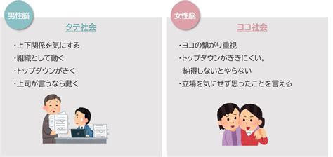 【男性脳・女性脳 診断付き】男女の考え方・コミュニケーションの違い ゆるゆる営業研修