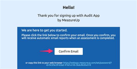 how to verify your account audit app