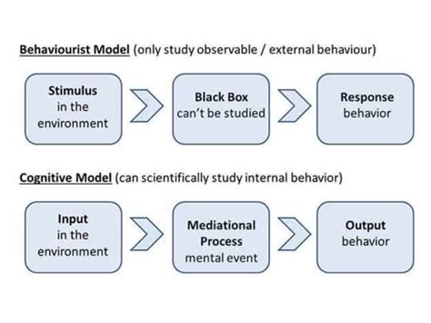 Learning Process Behaviorism Cognitivism And Constructivism Ppt