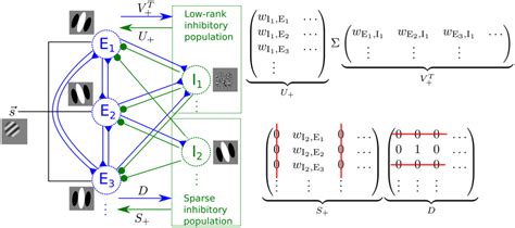 Low Rank Plus Sparse Decomposition Of The Recurrent Connectivity