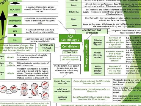 Aqa Gcse Biology Knowledge Organisers Teaching Resources