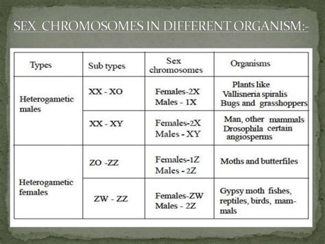 Sex Determination Ppt