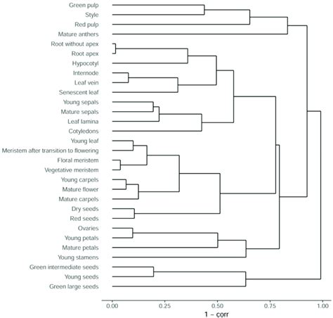 hierarchical clustering of samples as represented by a clustering tree