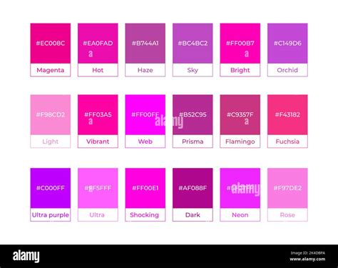 Gráfico De Paleta De Colores Magenta Con Nombres De Colores Y Códigos