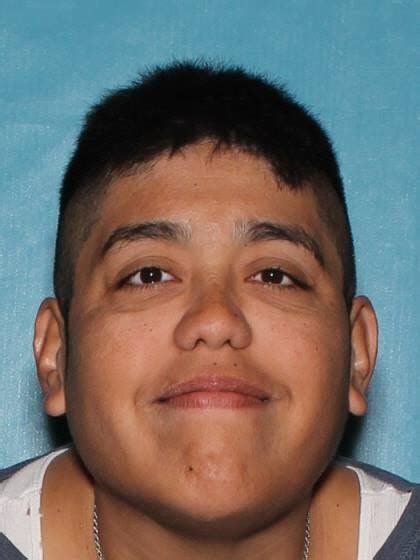 Glendale Pd Suspect In Custody After Fatal Hit And Run Collisio