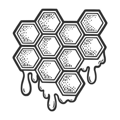 Honeycomb Vector Images Over 79 000
