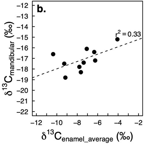 Linear Correlations Between The Three δ 13 C Proxies From Each