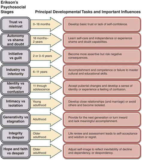 Illustration Displaying Erik Eriksons 9 Stages Of Psychosocial