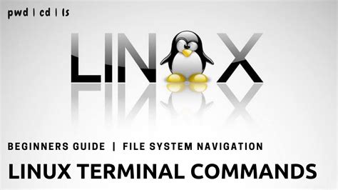 linux terminal commands for beginners file system navigation [ pwd