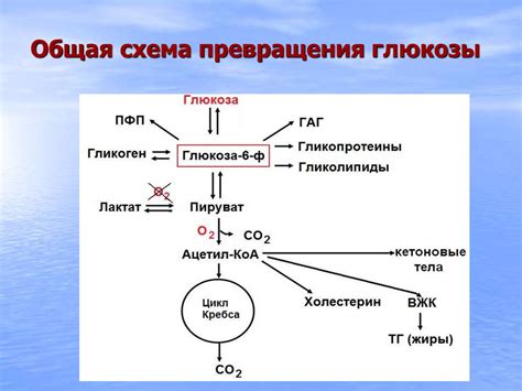 Задана следующая схема превращений веществ Ch3ch2cl X Ch3ch2oh Y Ch3cho
