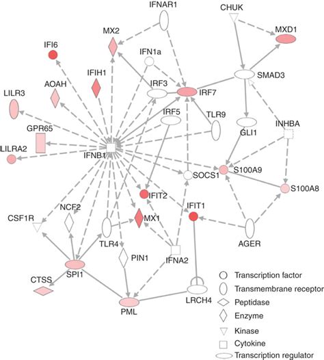 Interferon Response Genes Are Coordinately Upregulated Relative To The