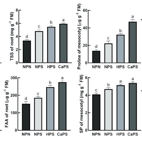 Effect Of Cacl 2 Priming On Osmotic Adjustment Substances In Sorghum