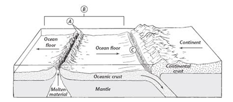 Continental Drift Seafloor Spreading And Plate Tectonics Quiz Floor Roma